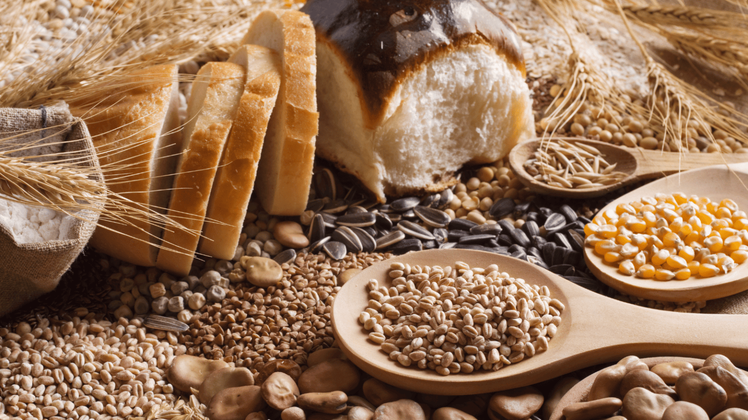 Low and High Amines Food List for an Amine Intolerance Diet