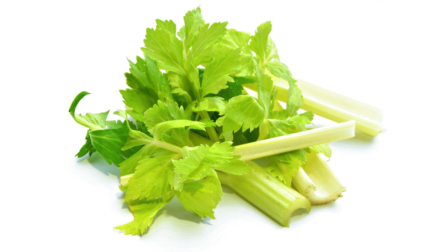 33 best Cooling Foods To Reduce Body Heat Naturally