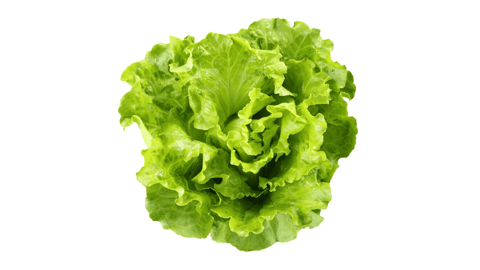 33 best Cooling Foods To Reduce Body Heat Naturally