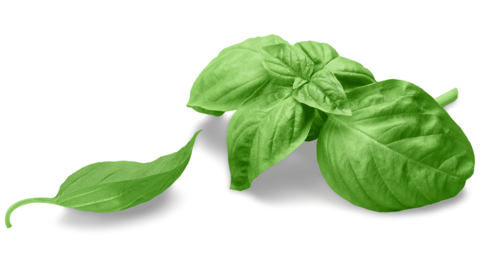 33 best Cooling Foods To Reduce Body Heat Naturally