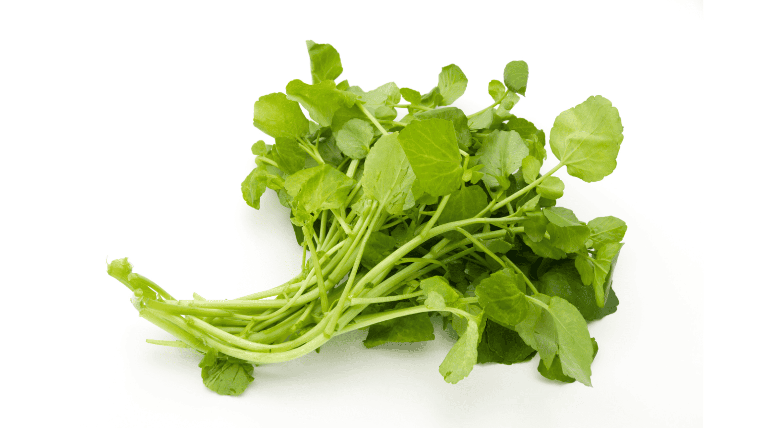33 best Cooling Foods To Reduce Body Heat Naturally