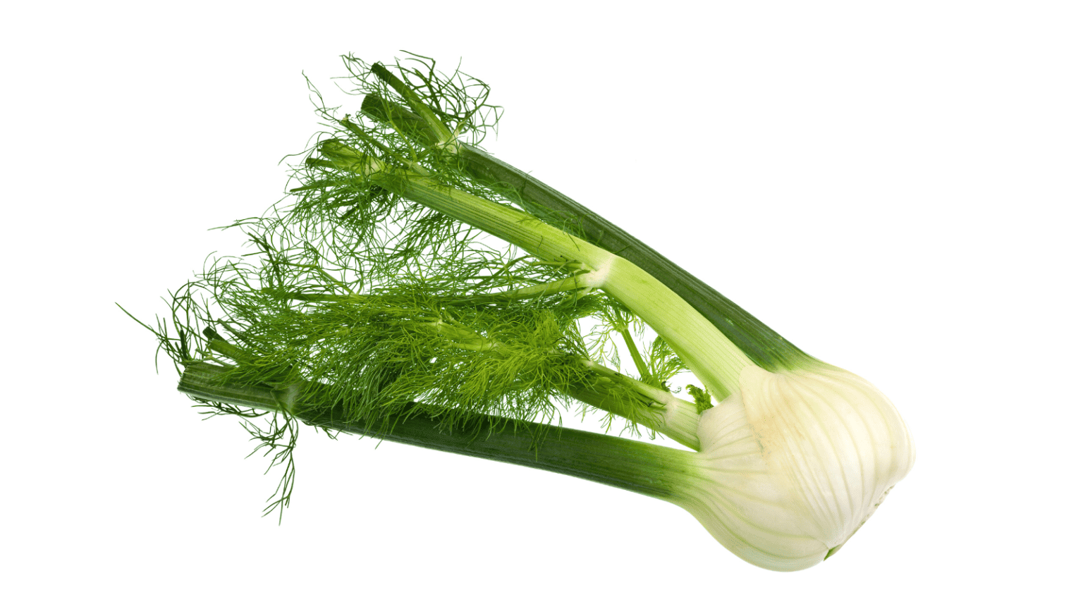 33 best Cooling Foods To Reduce Body Heat Naturally