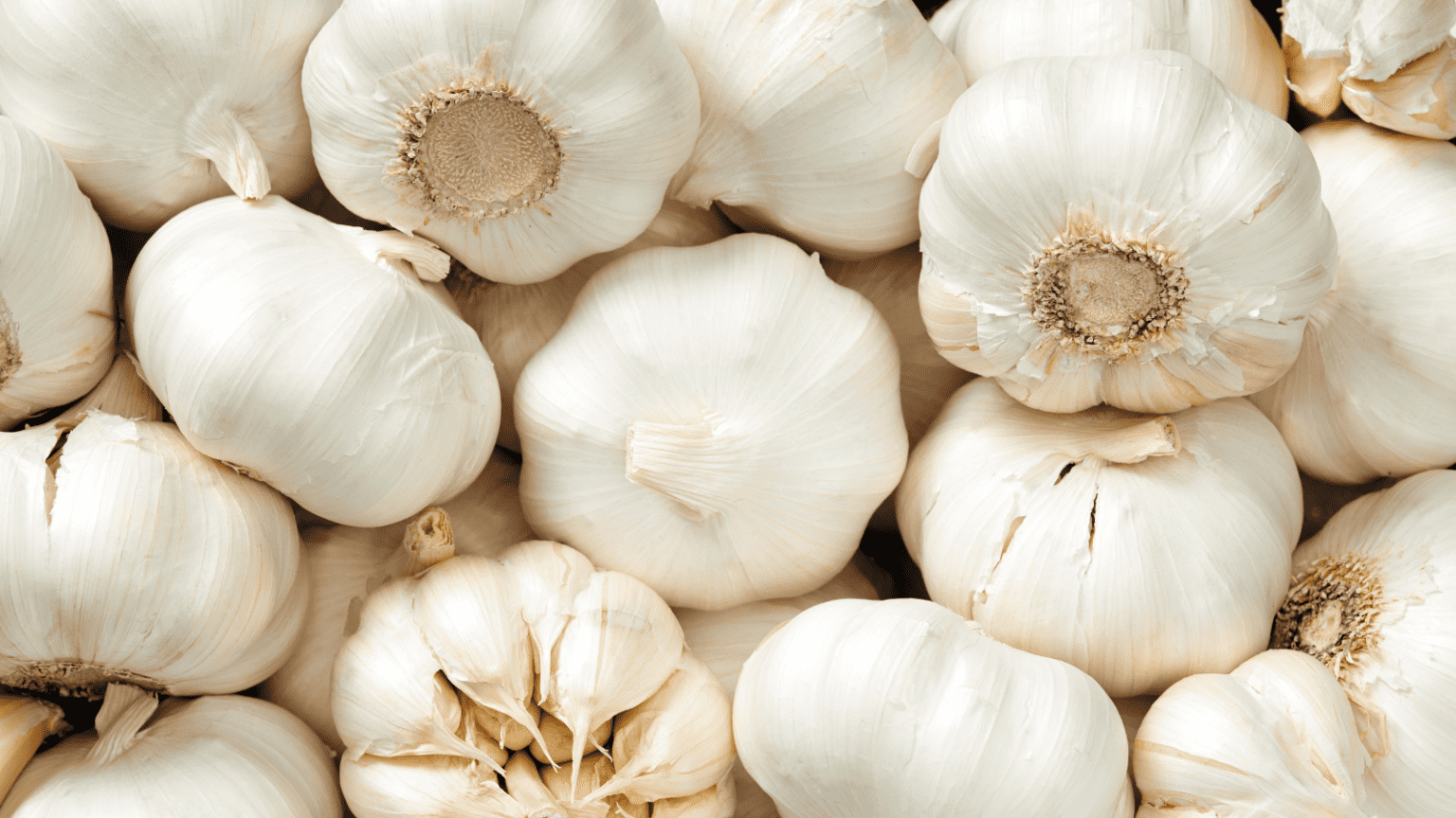 70 Healthy White Food List Which Are Naturally Delicious