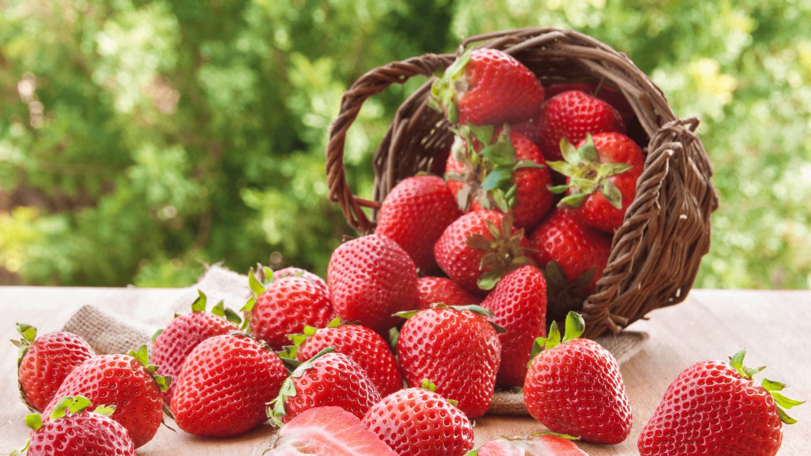 Low Fructose Intolerance Food List For Malabsorption