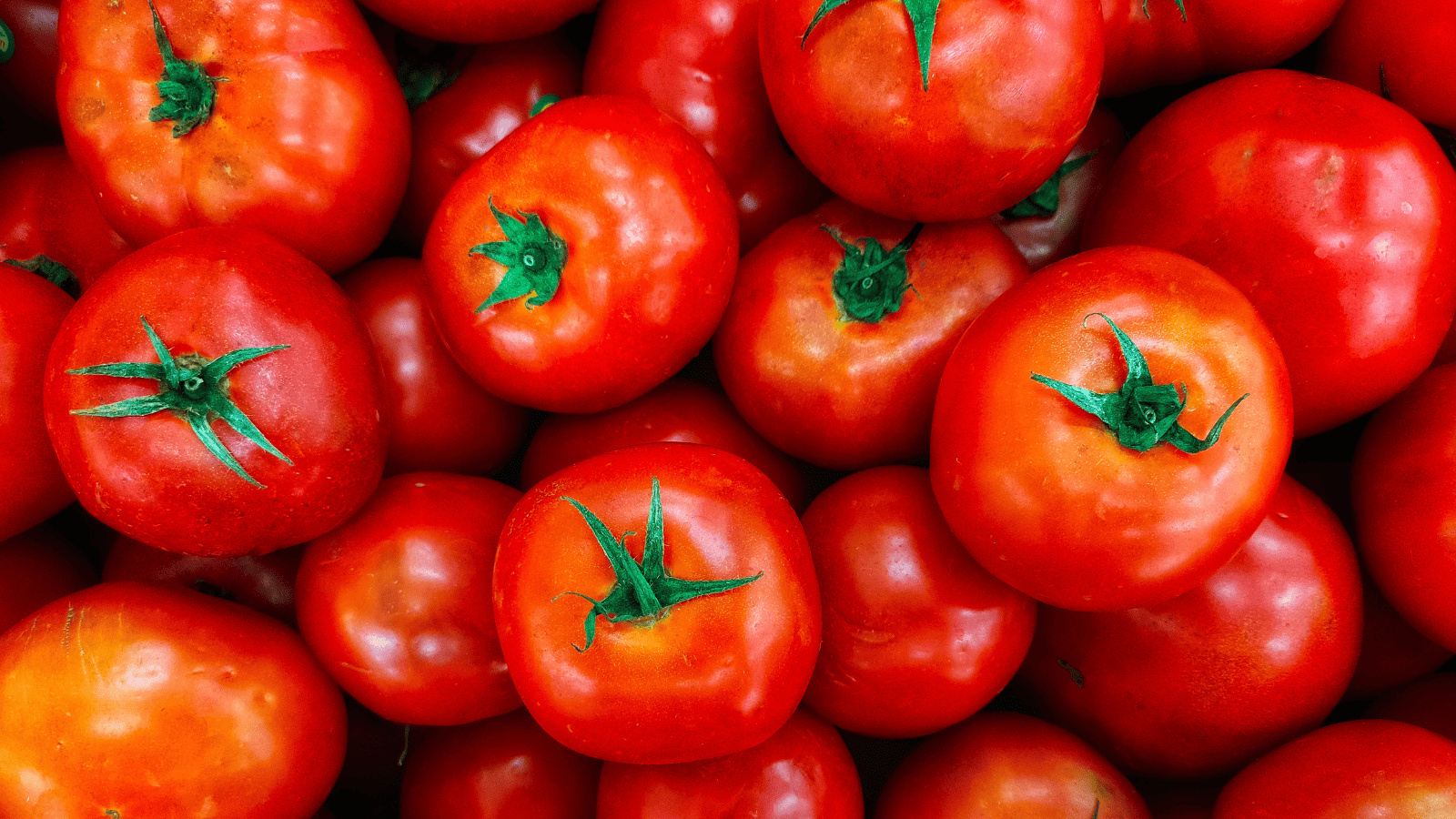 Low Fructose Intolerance Food List For Malabsorption