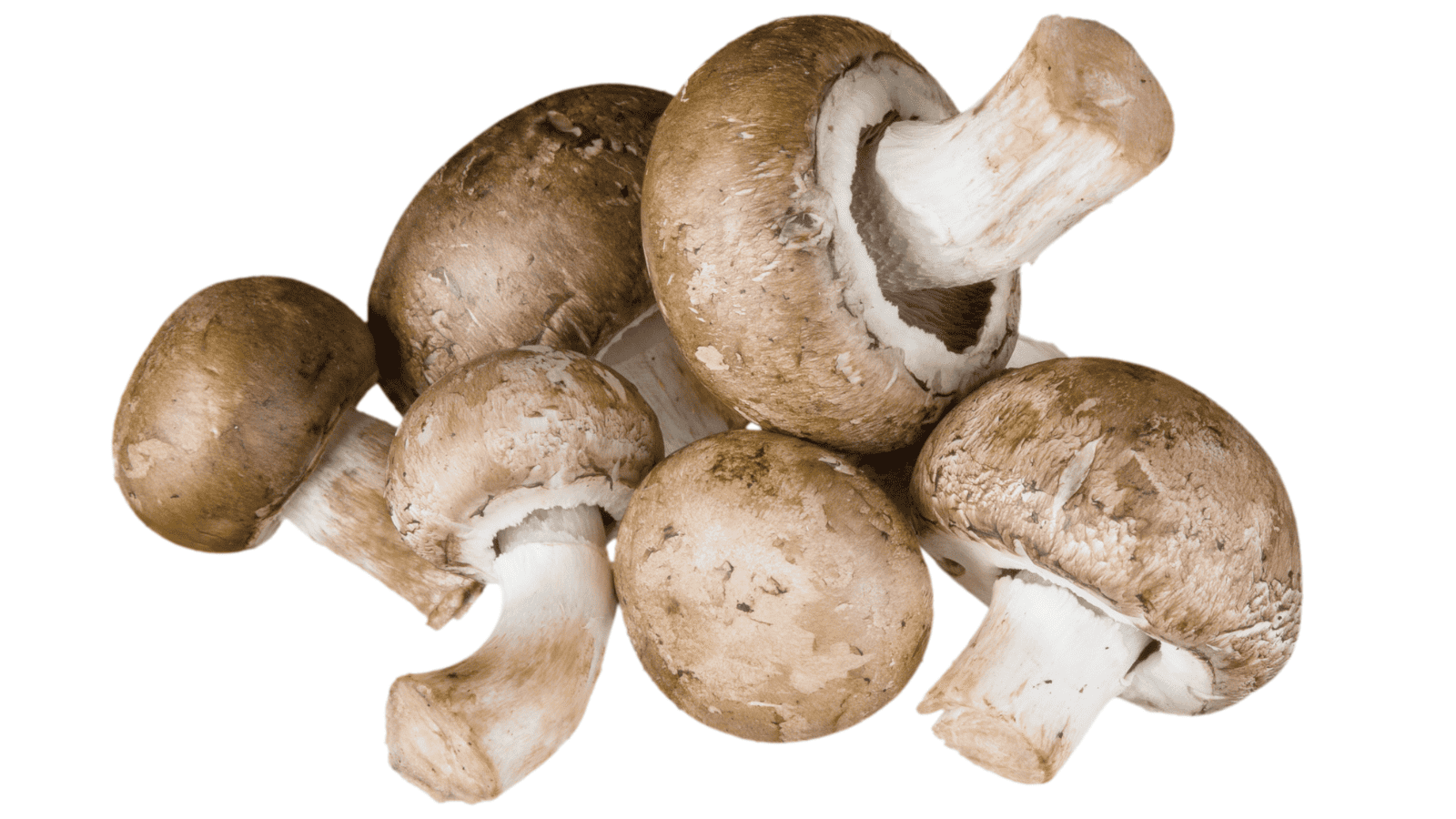 45 Best Vibrational Frequency of Food List for High Energy