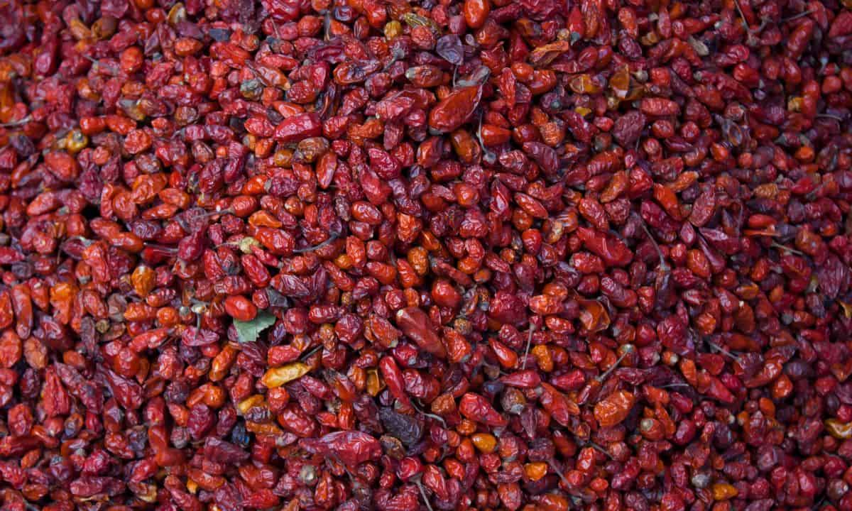 27 Top Photos of Guatemala Fruits & Vegetables 2023
